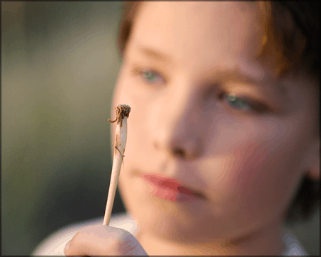 What is DOF? - Depth of Field Revealed - 5 Minutes for Mom