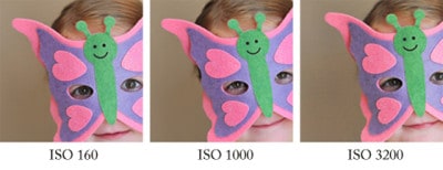 ISO Tutorial - Summer Photography Series