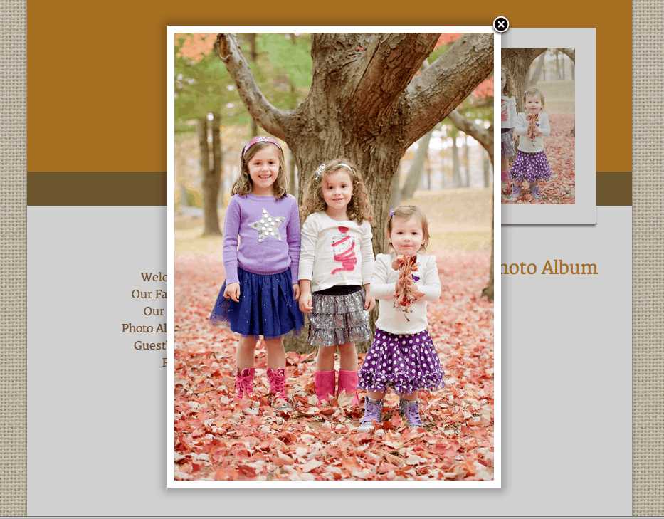 Become the Family Blogger with My Family Window
