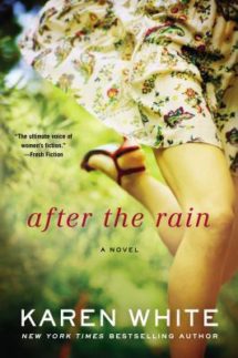 After the Rain {Review and Giveaway} - 5 Minutes for Mom