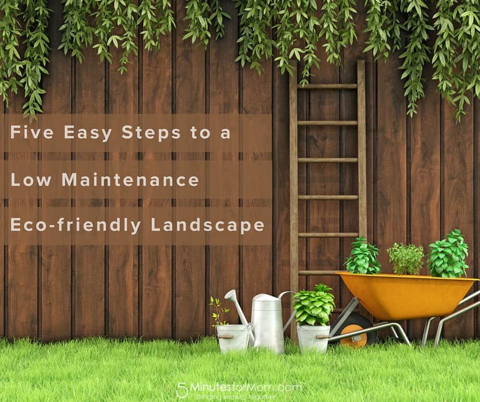 Five Easy Steps to a Low Maintenance Eco-friendly Landscape