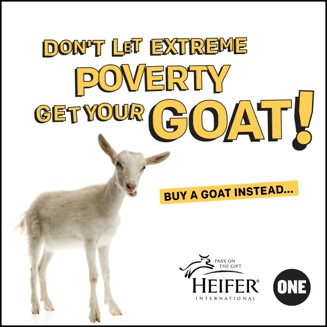 ONE Goat for Hope
