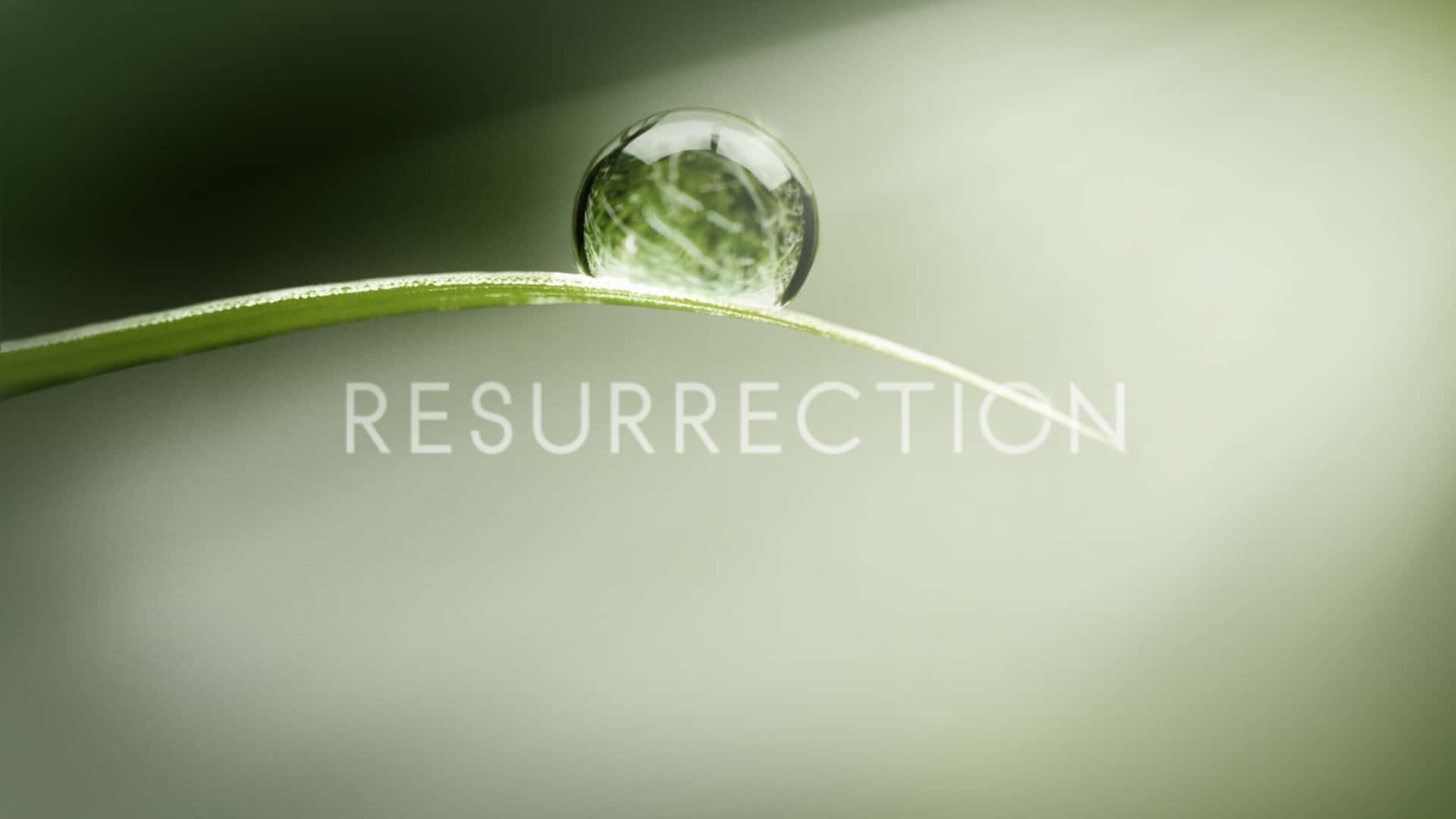 Did I Really Die? New ABC TV Show "Resurrection" Has People Asking. # ...