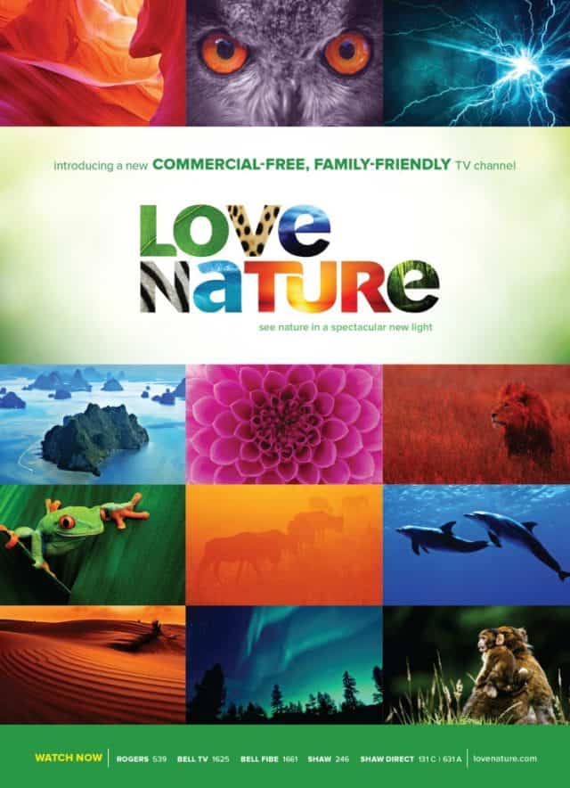 Meet "Love Nature" and Get Ready For A Wild Trip - 5 Minutes for Mom