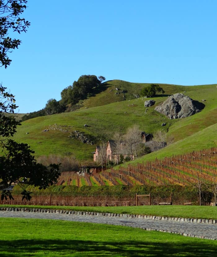 Exclusive Skywalker Ranch Tour for STRANGE MAGIC Event - #StrangeMagicEvent