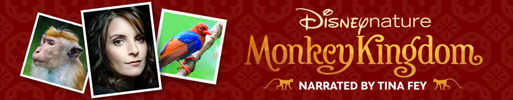 5 Reasons to see Disneynature's Monkey Kingdom - #MonkeyKingdomEvent