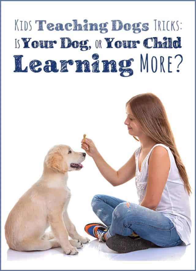 Kids Teaching Dogs Tricks: Is Your Dog or Your Child Learning More? - 5 ...