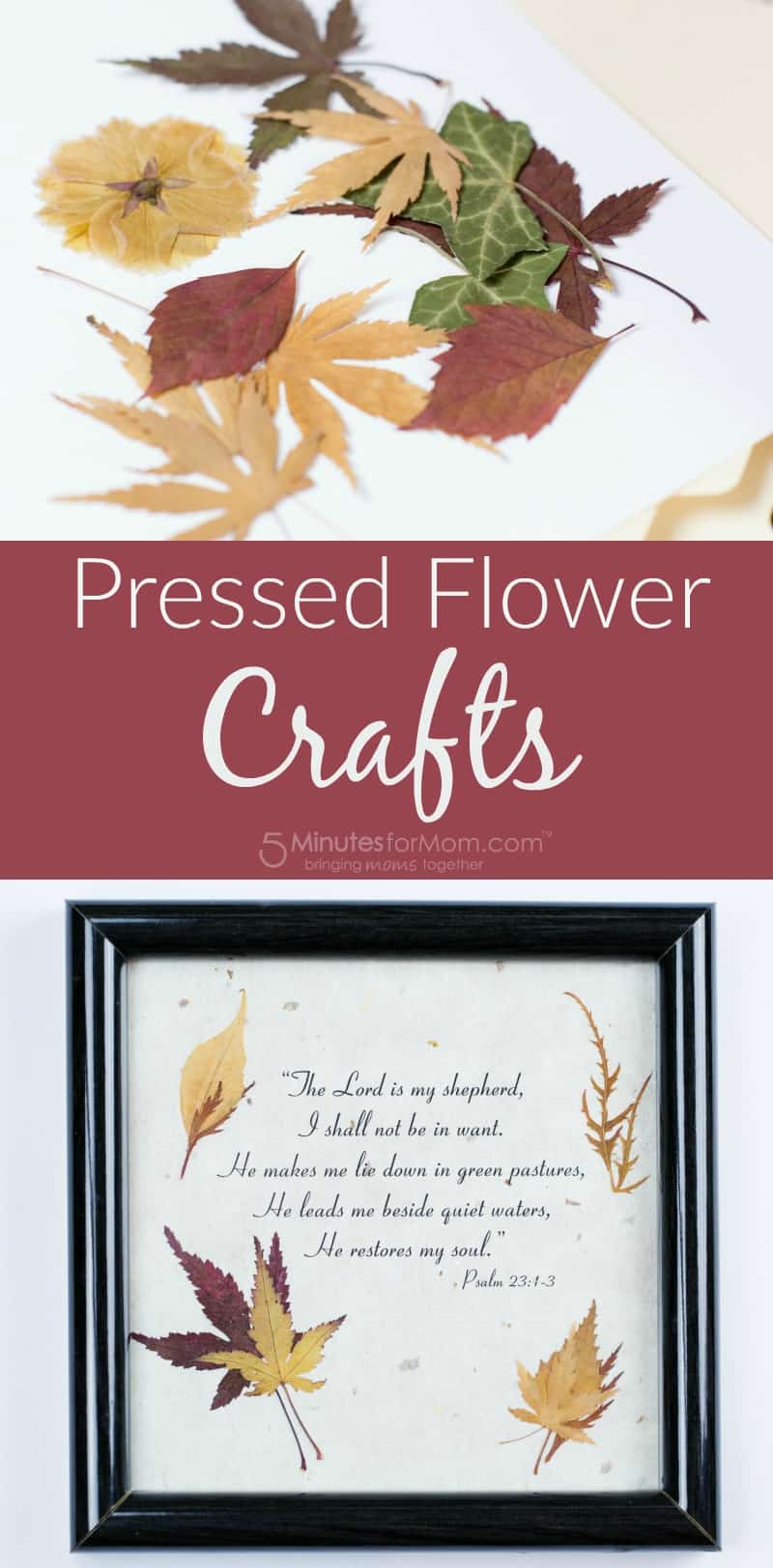 Pressed Flowers and Leaves - Craft Ideas for Kids - 5 Minutes for Mom