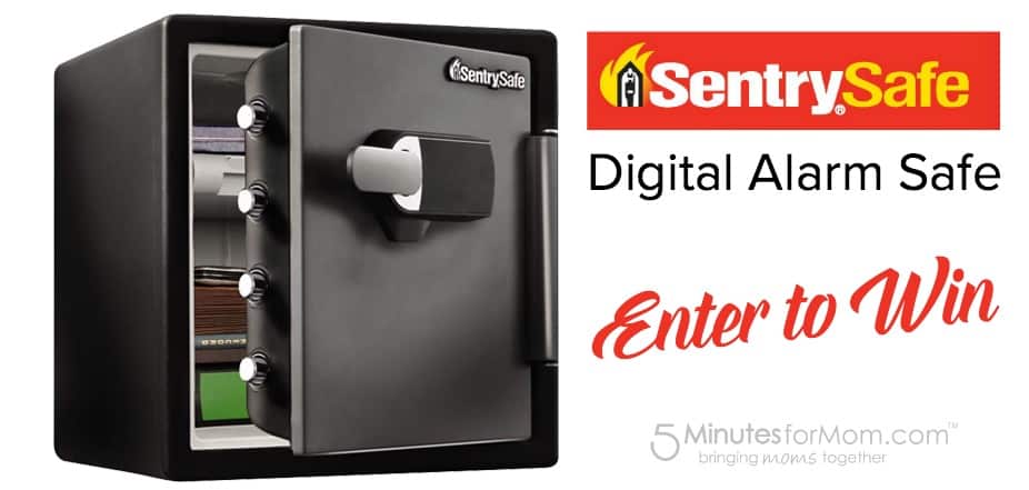 Win a SentrySafe Extra Large Digital Fire Safe - 5 Minutes for Mom