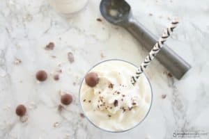 Whoppers Malted Milkshake Recipe - 5 Minutes for Mom