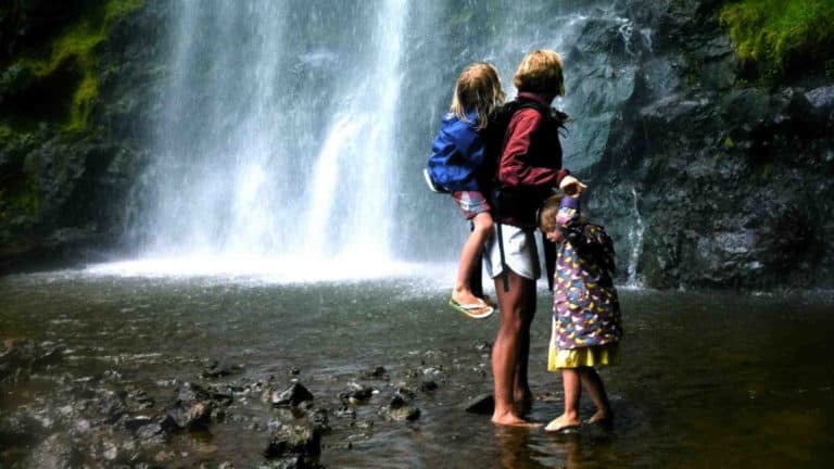 The Freeloader - Innovative Child Carrier for Toddlers and Bigger ...