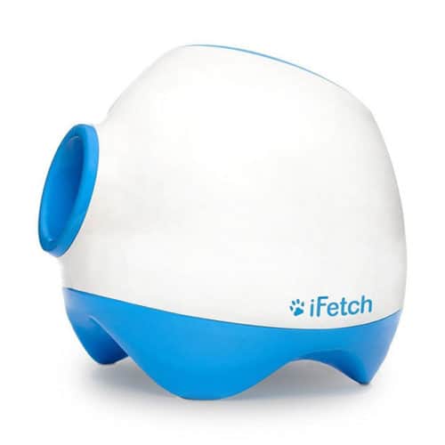 The Hottest Pet Trends in 2017 - 5 Minutes for Mom