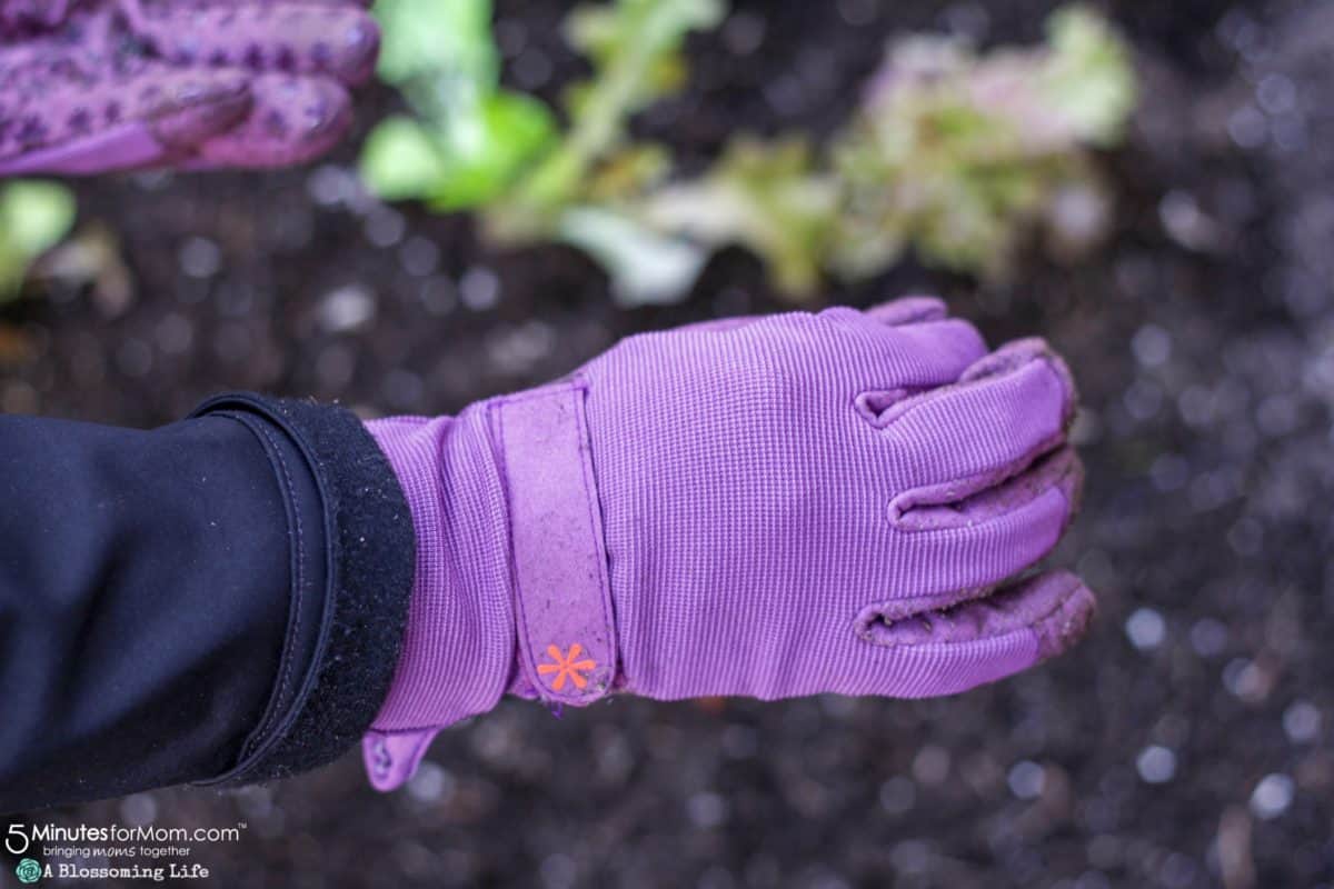 Spring Gardening Tips - 5 Ways To Get Your Garden Ready For Spring