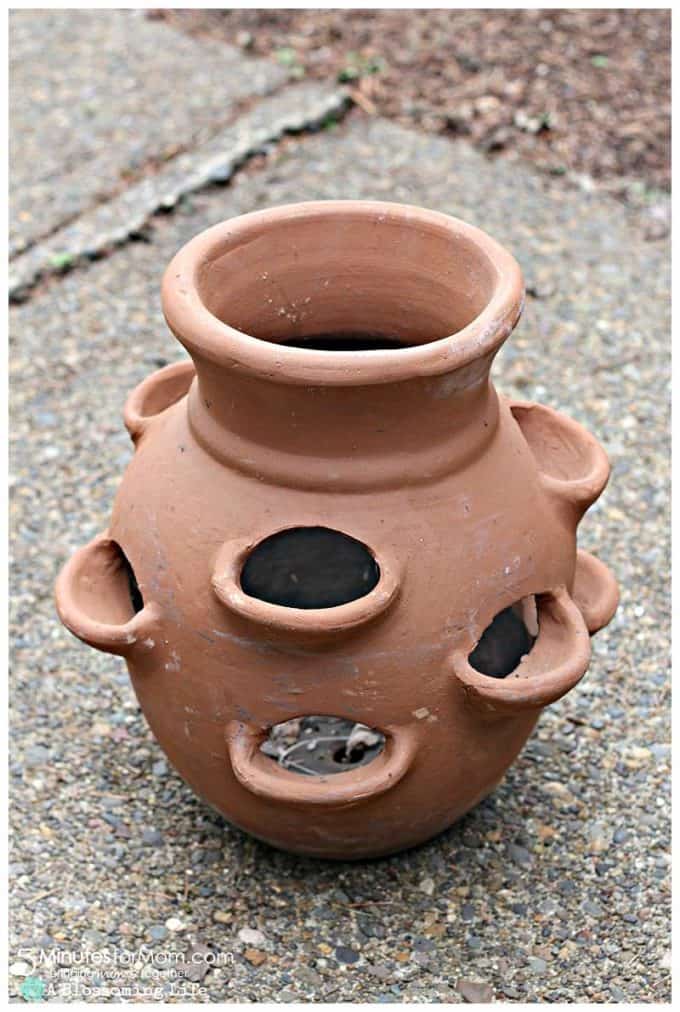 How To Make An Edible Miniature Garden - DIY Mother's Day Gift Idea