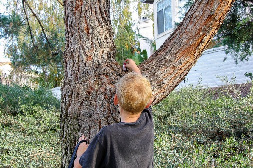 How To Paint Rocks For The Holidays - 5 Minutes for Mom