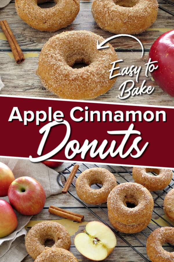 Apple Cinnamon Donuts - 5 Minutes for Mom
