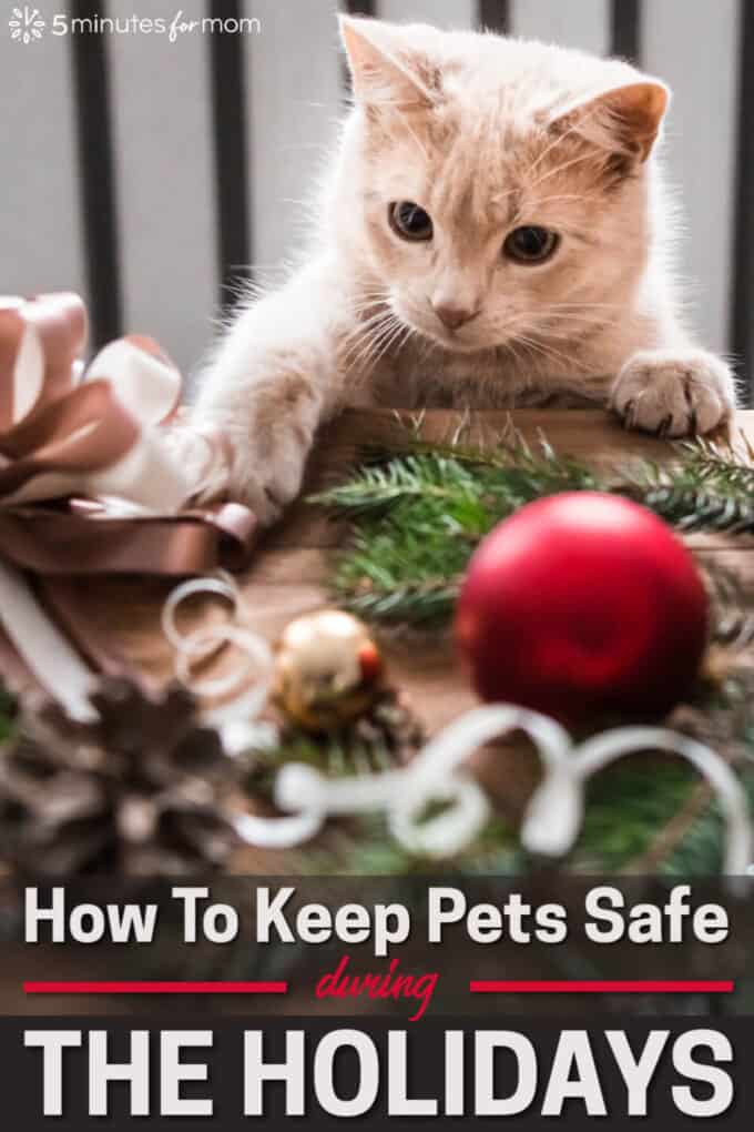How to Keep Pets Safe During the Holidays - 5 Minutes for Mom